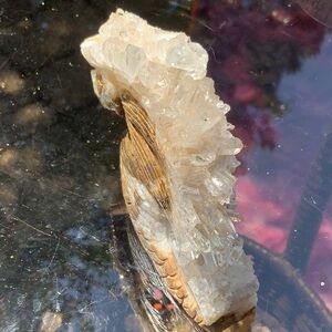 Shellys Boutique | Other | Quartz Crystal Cluster Hand Carved Dragon ...